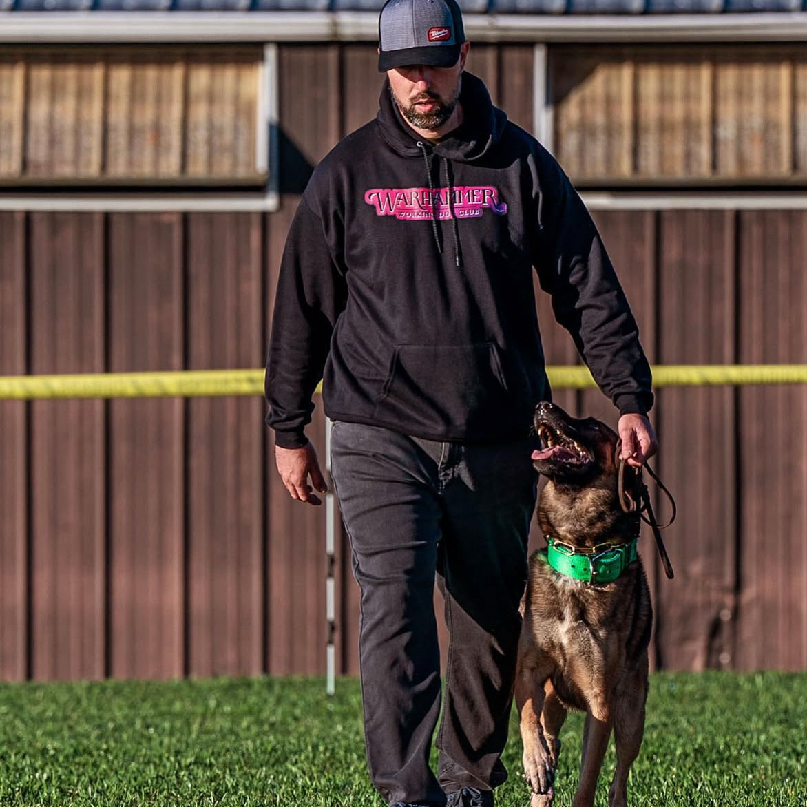 Get Started - Canine Training by Chris